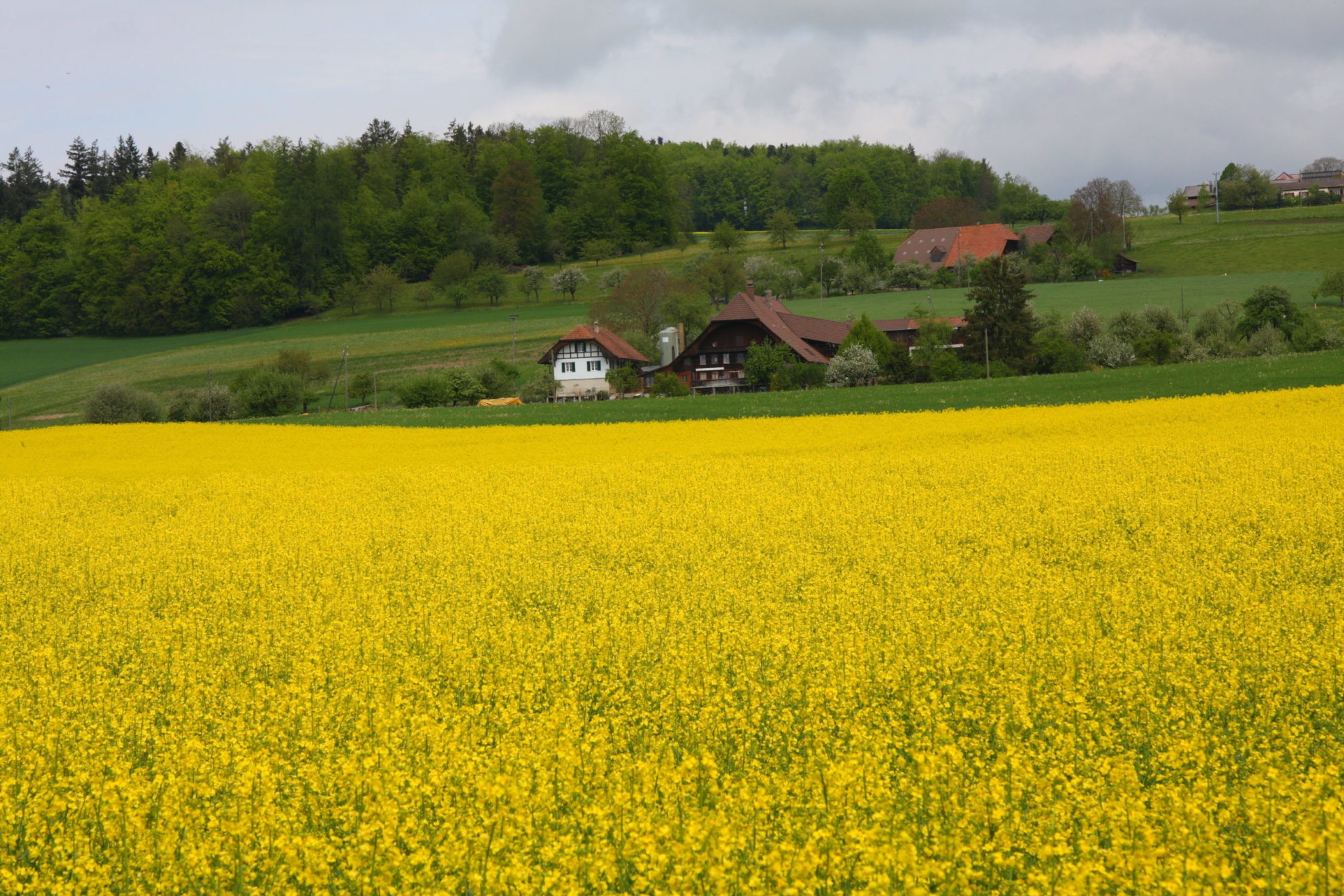 Allgemeine Bedingungen im ÖLN - Agripedia