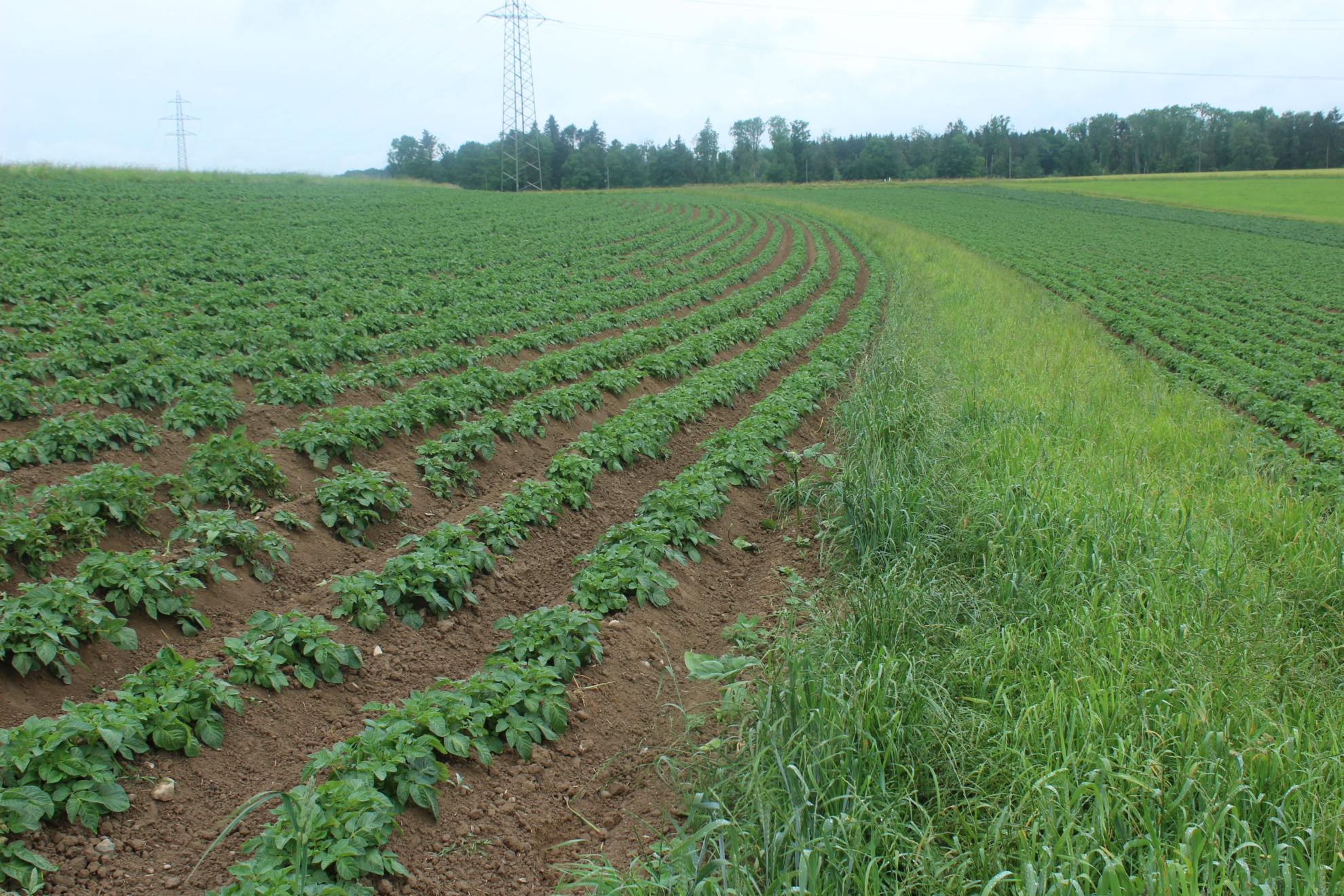 Massnahmen Abschwemmung Feldbau – Agripedia
