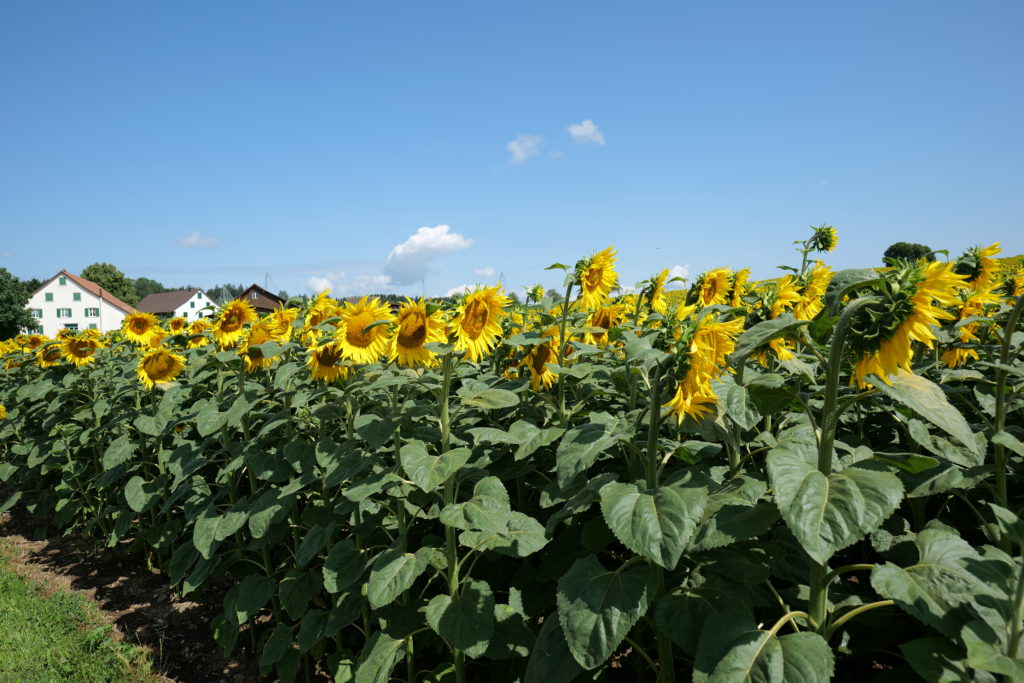 Übersicht Agrotourismus Tools – Agripedia