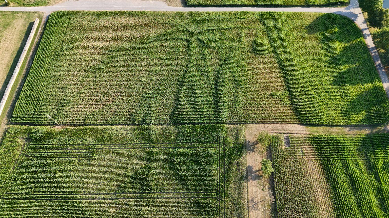 Teilflächenspezifische Düngung – ein Überblick - Agripedia